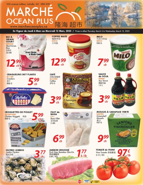 FLYERS – Ocean Plus