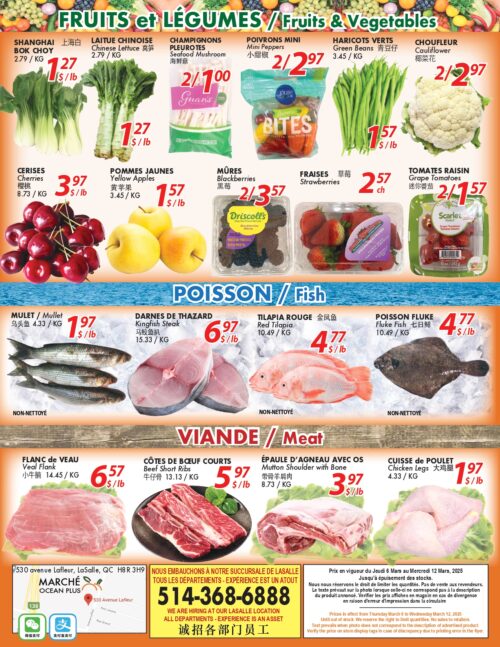 FLYERS – Ocean Plus