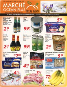 FLYERS – Ocean Plus
