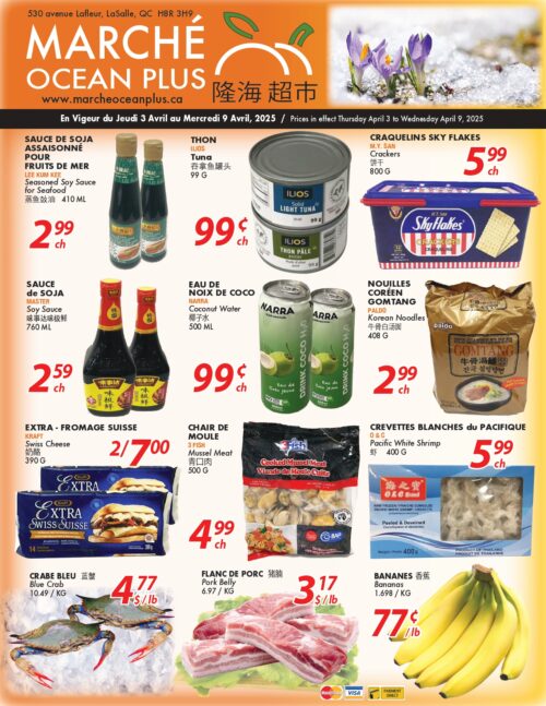 FLYERS – Ocean Plus