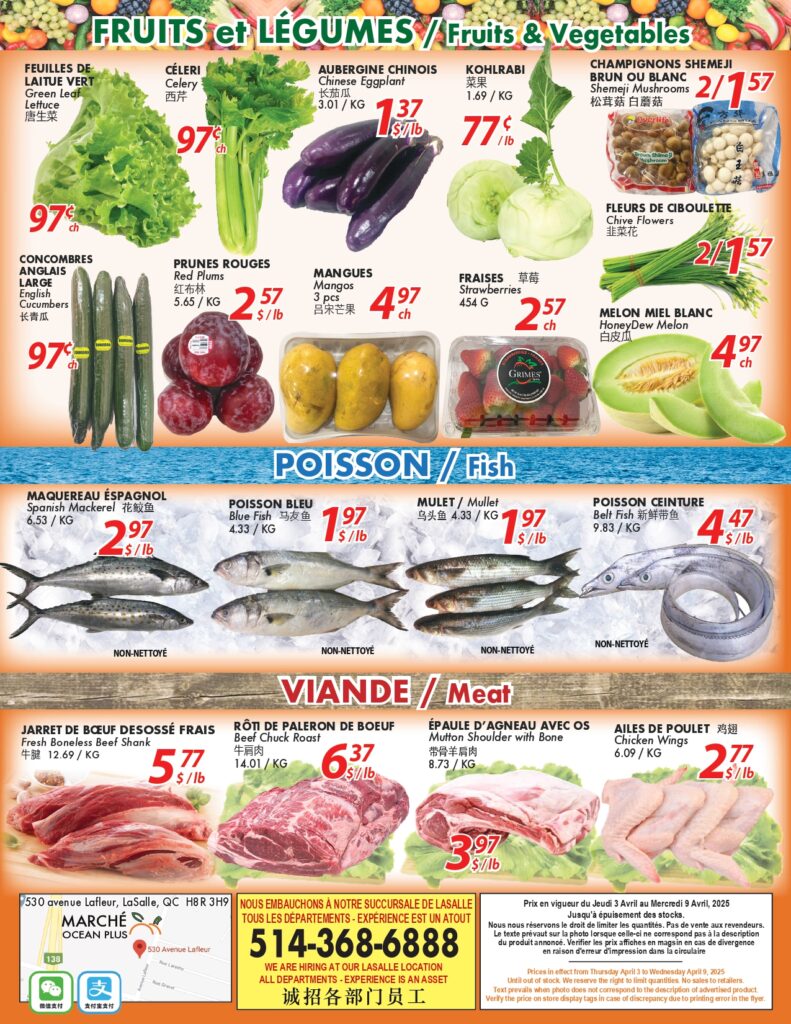 FLYERS – Ocean Plus