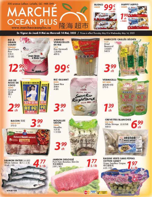 FLYERS – Ocean Plus