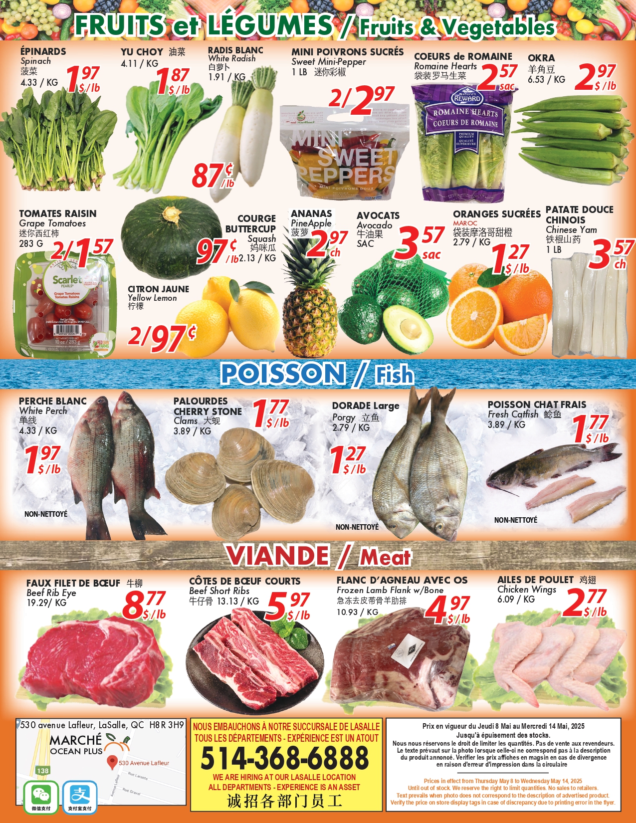 FLYERS – Ocean Plus