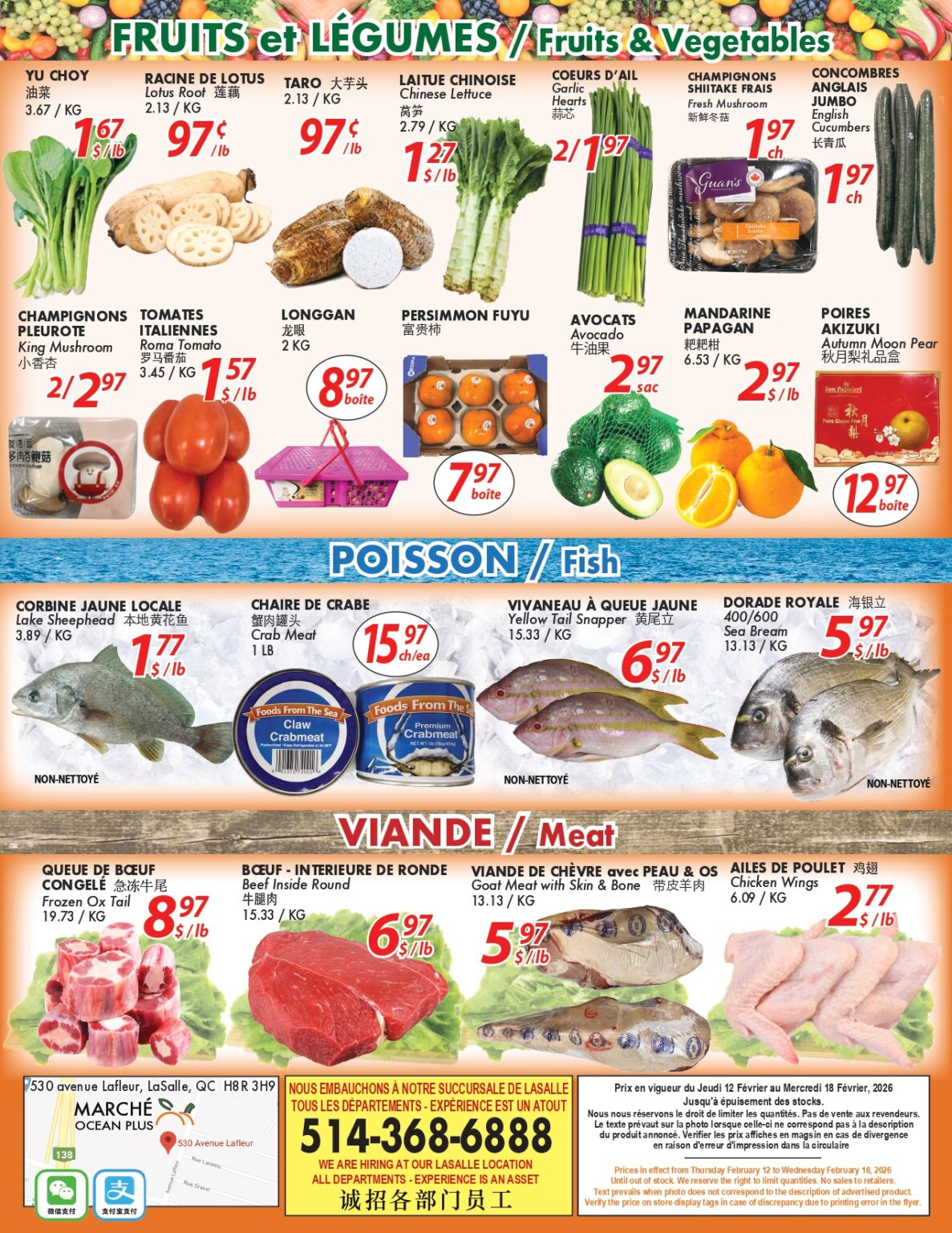 FLYERS – Ocean Plus