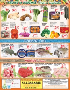 FLYERS – Ocean Plus